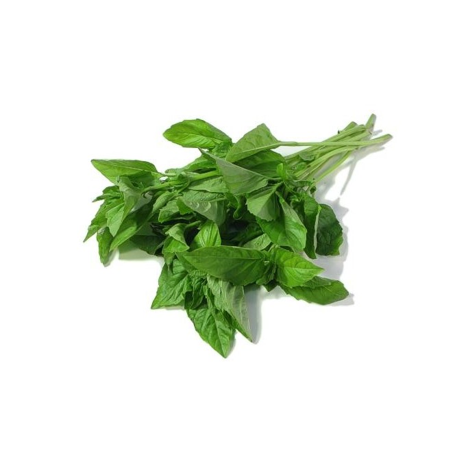 Basil Packet