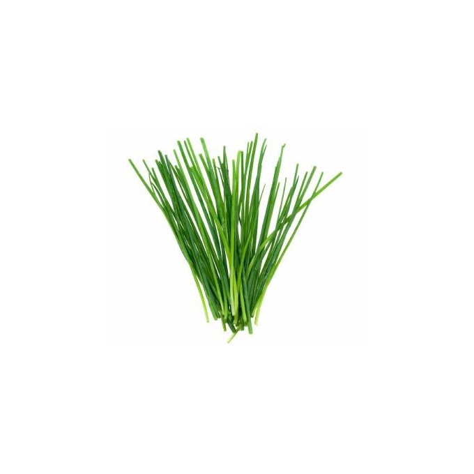 Chives Packet